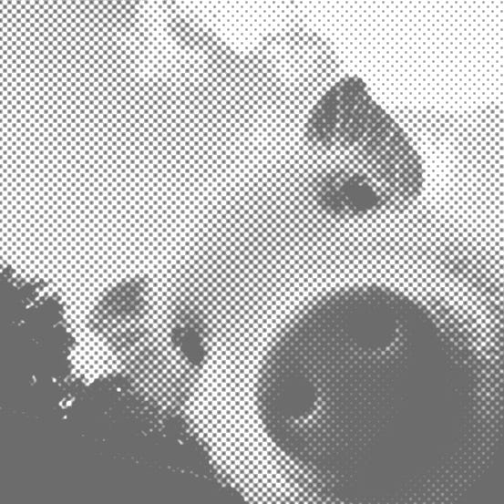 Threshold. Overview: | by Faithl | Medium