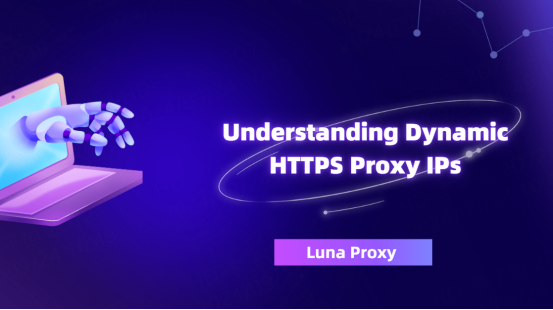 Understanding Dynamic HTTPS Proxy IPs | by Scorpio | Sep, 2024 | Medium