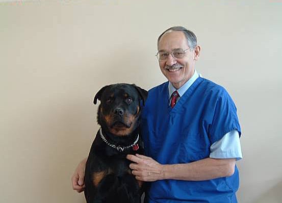 Sterling DVM: get the best Practice management veterinary training | by ...