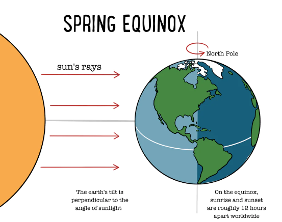 Happy first day of spring 2023!. Monday, March 20, was the official ...