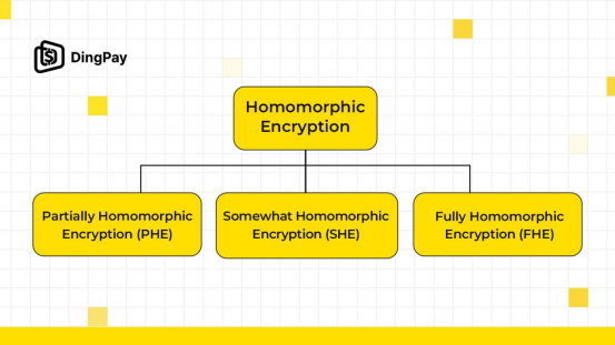 Homomorphic Encryption: A Key Technology for Privacy-Preserving ...