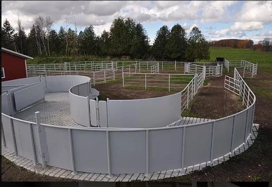 Things To Consider While Making A Safer Cattle Chute Design | by ...