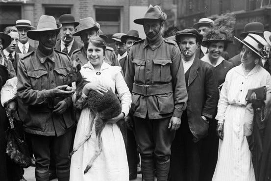 First world War historical background | by Trueknowledgewallah | Medium