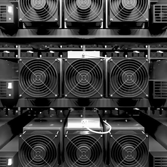 Largest HashShine Mining Facility in China. | by HashShine | Medium