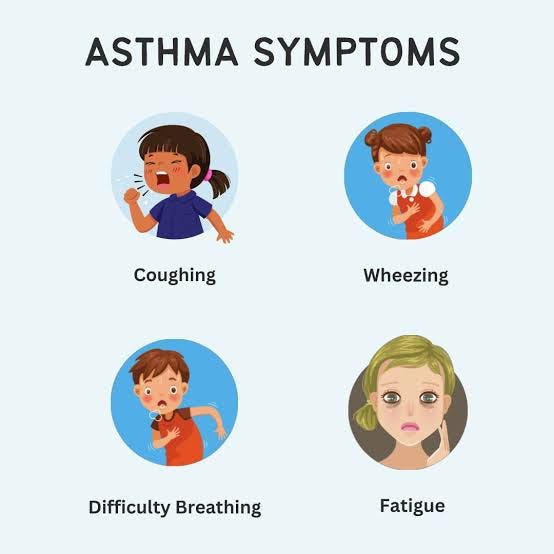 What Are the Causes of Asthma and How to Manage It? | by Ayat Khan ...