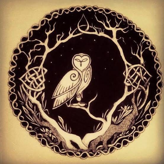 INSOMNIAC $OWLS. WE ARE THE NIGHT OWLS! | by Dev team | Medium