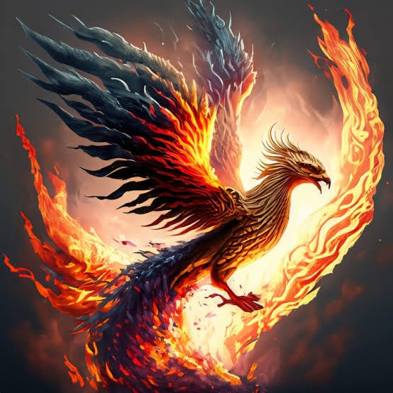 Rising from The Ashes. From the embers of shattered dreams, A… | by ...