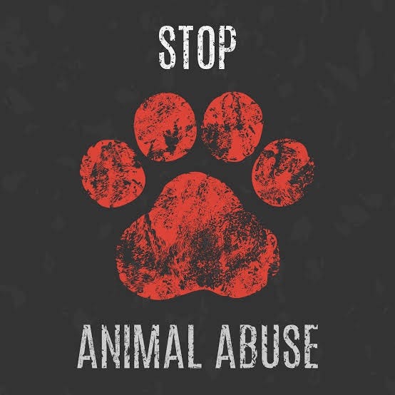 “Confronting Cruelty: A Call to End Animal Abuse” | by Precious Lara ...
