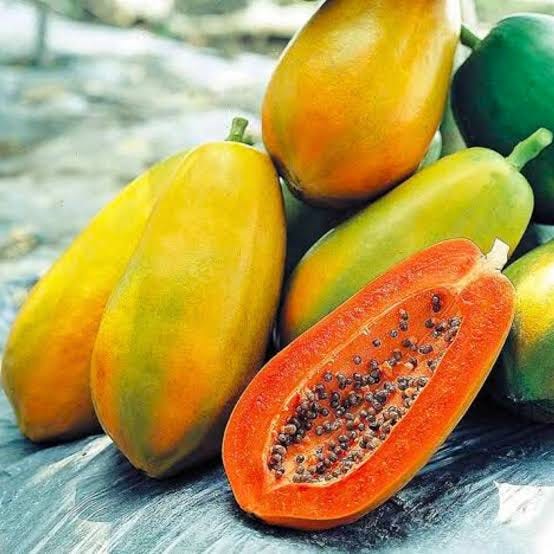 Papaya – Nature’s Wonderful Gift | by The Searcher | Apr, 2025 | Medium