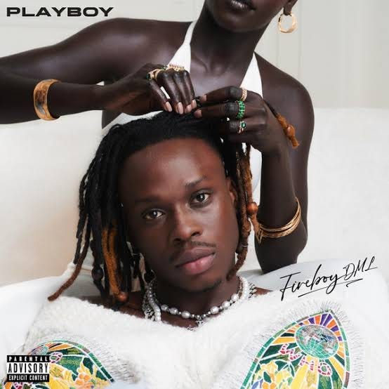 PLAYBOY PROVES FIREBOY IS HUMAN, AFTER ALL... | by The Music CGPA | Medium