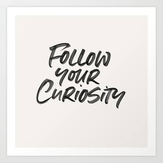 Follow your curiosity. Introduction | by Fedhasa Aberra | Medium