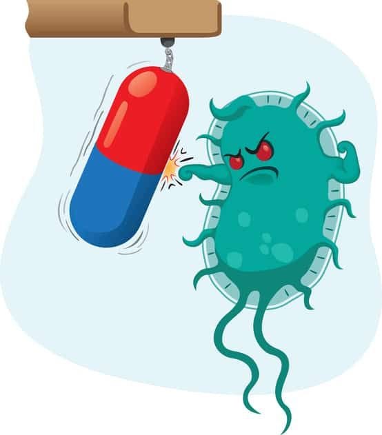 THE ANTIMICROBIAL APOCALYPSE A TALE OF TINY TROUBLEMAKERS | by ...