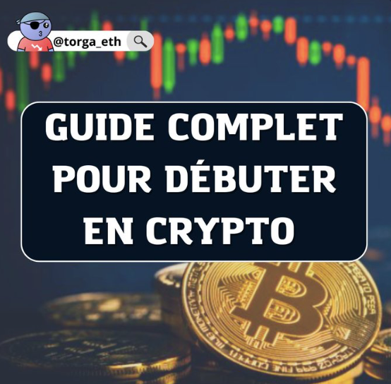 LE GUIDE COMPLET POUR DÉBUTER DANS LA CRYPTO | by Torga | Medium
