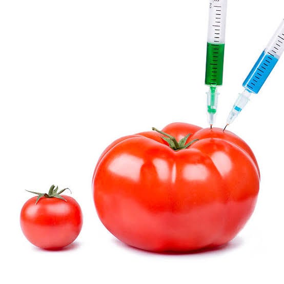 Genetically modified (GM) foods are those that have been produced from ...