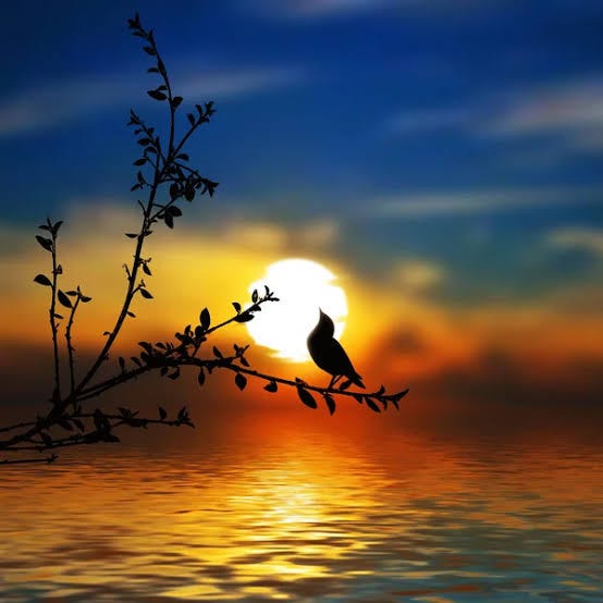 What’s yours Will Always Find Its Way To You | by R.M | Insight Insider ...