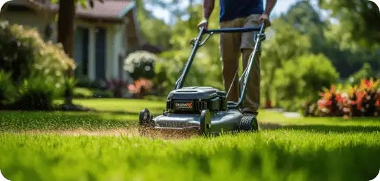 Transform Your Outdoor Space with Warrior Landscaping Services in Plano ...