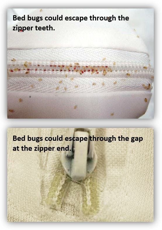 Bed Bug Mattress Protector: Ultimate Sleep Shield | by Ashley Walker ...