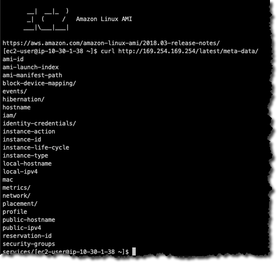 EC2 Instance Metadata 보안. AWS 에서 가장 기본이 되는 EC2 서비스는 AWS Cloud 환경을… | by ...