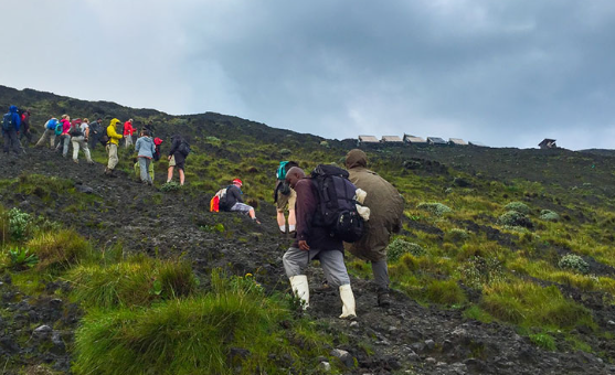 6 Days Mgahinga Hiking Tour. 6 Days Mgahinga Hiking Tour Overview | by ...