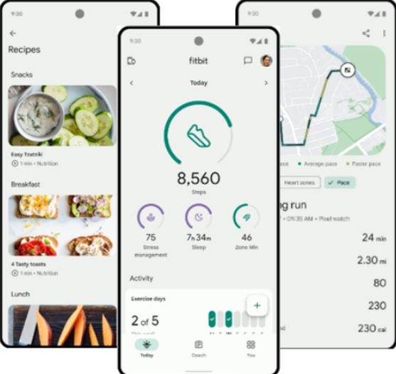 How to Cancel Fitbit Premium: A Step-by-Step Guide on Subscription ...