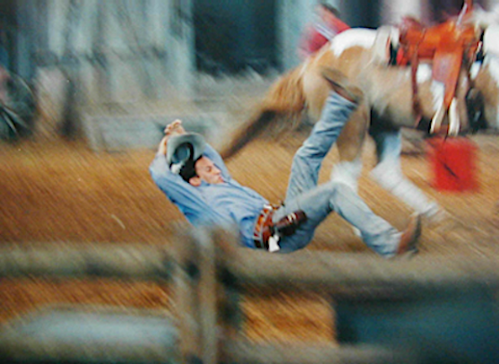 How to Ride Two Horses With One Butt | by ron fox | Medium