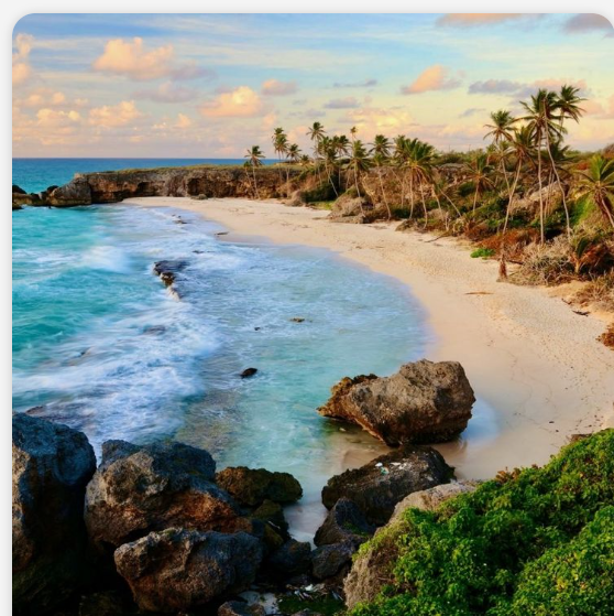 Exploring the World of Marriott Bonvoy: A Comprehensive Guide to Luxury ...