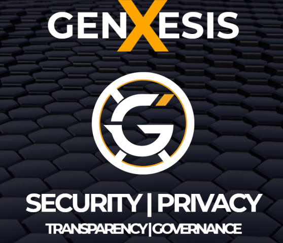 What Is GenesisX. GenesisX is a fully decentralized… | by Girls in ...
