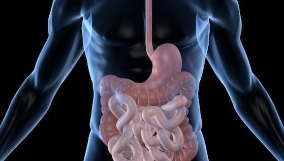 Booking an appointment with Gastroenterologist | by Ashley Gates | Medium