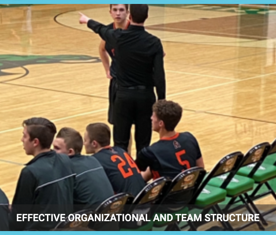 Effective Organizational and Team Structure | by Nate Hartman | Medium