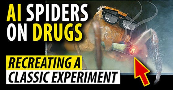 AI Spiders on Drugs: Recreating a Classic Experiment | by Rank N. Fyle ...