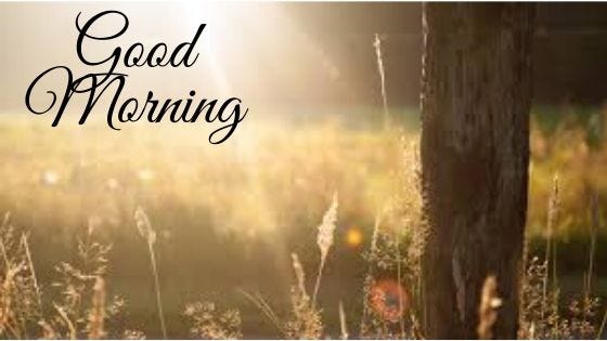 Download Best Good Morning Images In HD | by sean tait | Medium