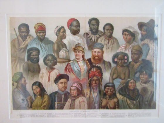 The Races of Man. In the 19th century, many people… | by LA Progressive ...