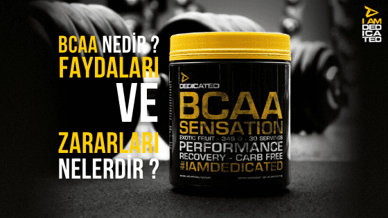 Bcaa Nedir, Faydaları Ve Zararları Nelerdir | by Fit Danışman | Medium