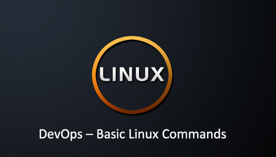 DevOps — Basic Linux Commands Part 3, Network | by Tony | Dev Genius
