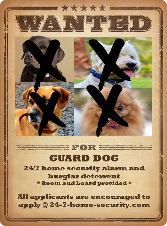 How Effective are Guard Dogs for Home Security | by Jody | Medium