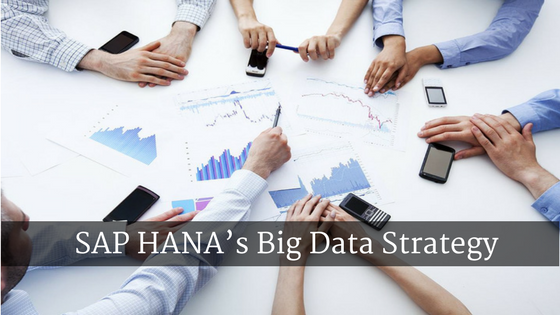 SAP HANA’s Big Data strategy. With the amount of data in the digital ...