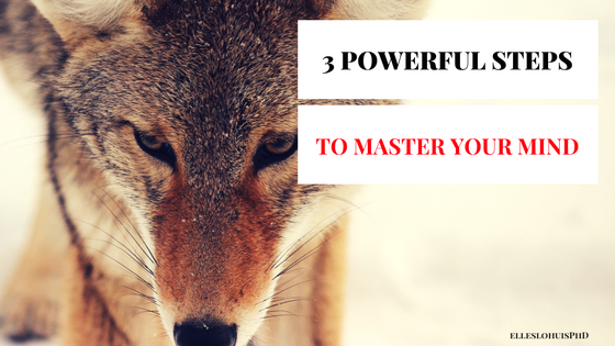 3 Powerful Steps To Master Your Mind | by Elles Lohuis PhD | Medium