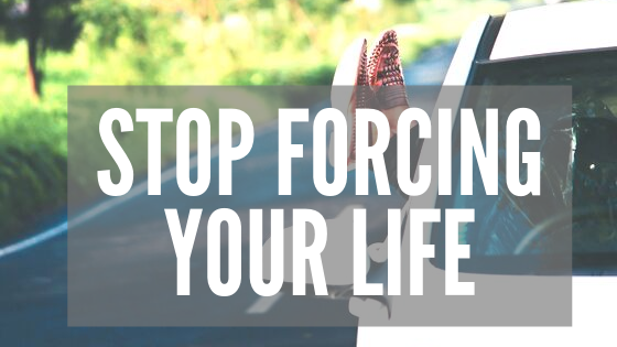 Stop Forcing Your Life. One of my problems is that I can get… | by ...