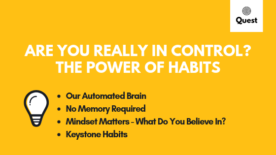 Are You Really In Control? The Power of Habits | by Danilo Kreimer ...