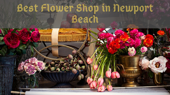 The Best Flower Shop in Newport Beach | by Bellagio Florist Etc | Medium