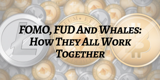 FOMO, FUD And Whales: How They All Interact | by Edward Lomax | Medium