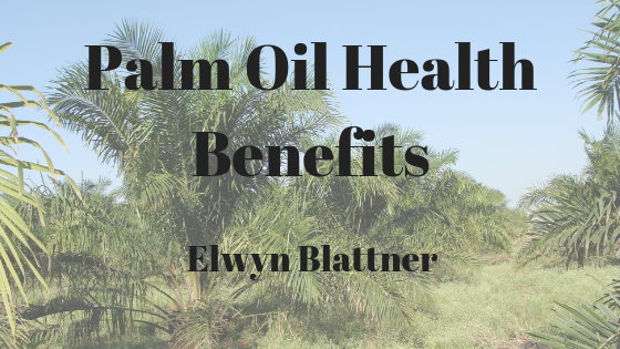 Palm Oil Health Benefits. Palm oil has its benefits in producing… | by ...