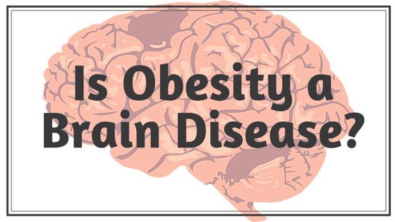 The Impact of Obesity on Brain Structure and Function | by Ruth Garcia ...