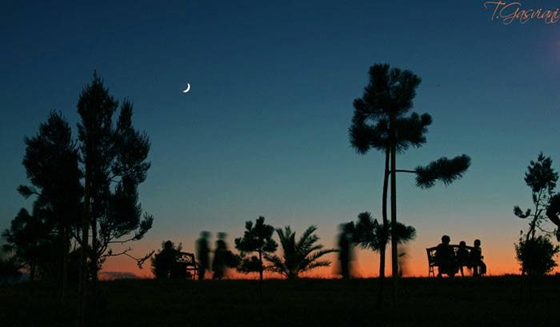 Desert Finance Story. Many organizations around the world are… | by ...