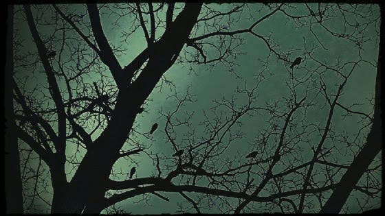 Scars. I don’t know what to make of the moon… | by George Cassidy Payne ...