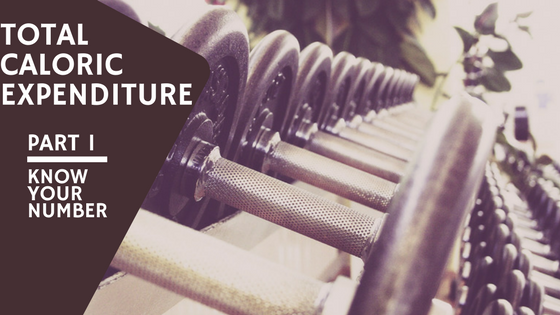 Total Caloric Expenditure: Part 1-Know your Number | by Mark Dziuban ...