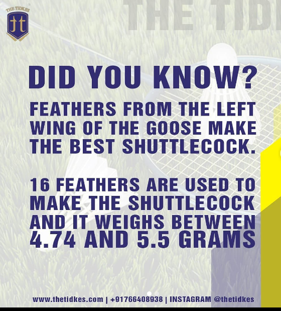 For the steadiness of a shuttlecock’s flight, there are three varieties ...