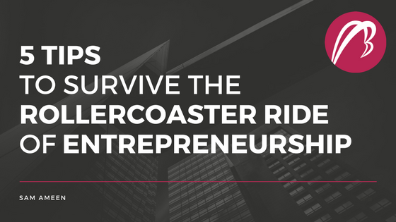 5 Tips To Survive The Rollercoaster Ride of Entrepreneurship | by Sam Ameen | Medium