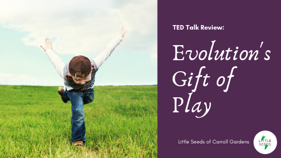 TED Talk Review: Isabel Behncke’s “Evolution’s Gift of Play, from ...