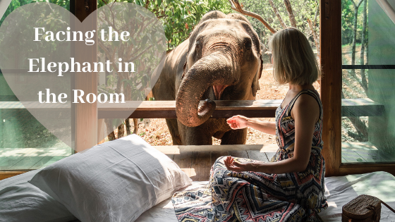 Find Out How You Can Get Rid of the Elephant in the Room | by Anna-Thea ...